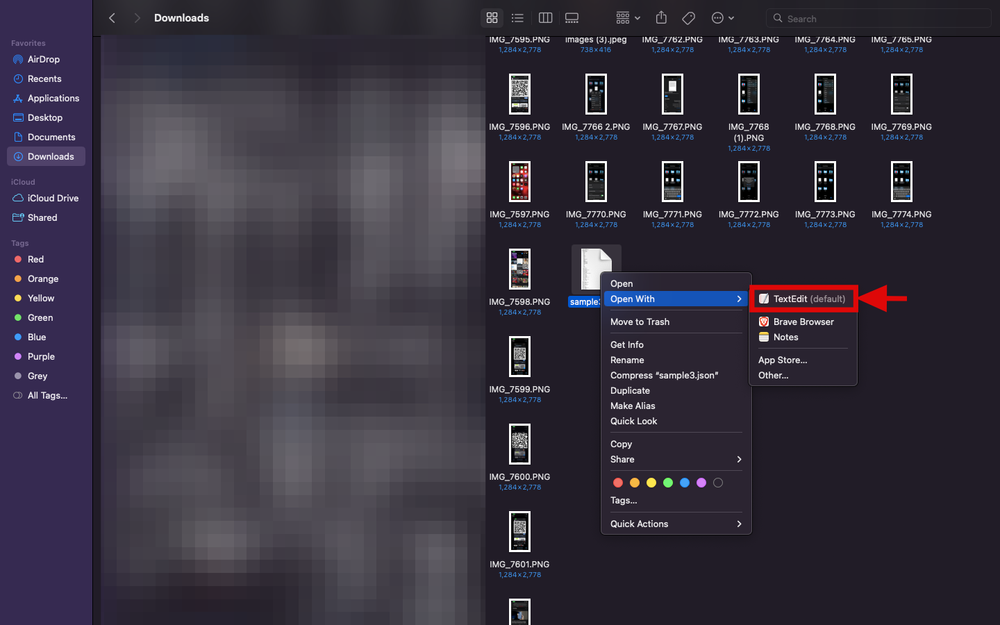 How to View JSON Files on macOS