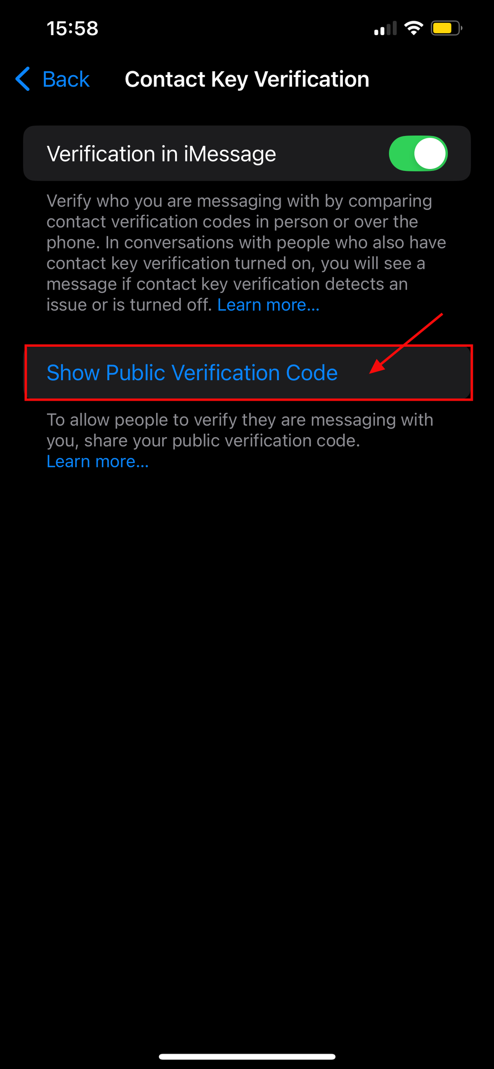 How to Turn on Contact Key Verification for your iMessage Chats on iPhone