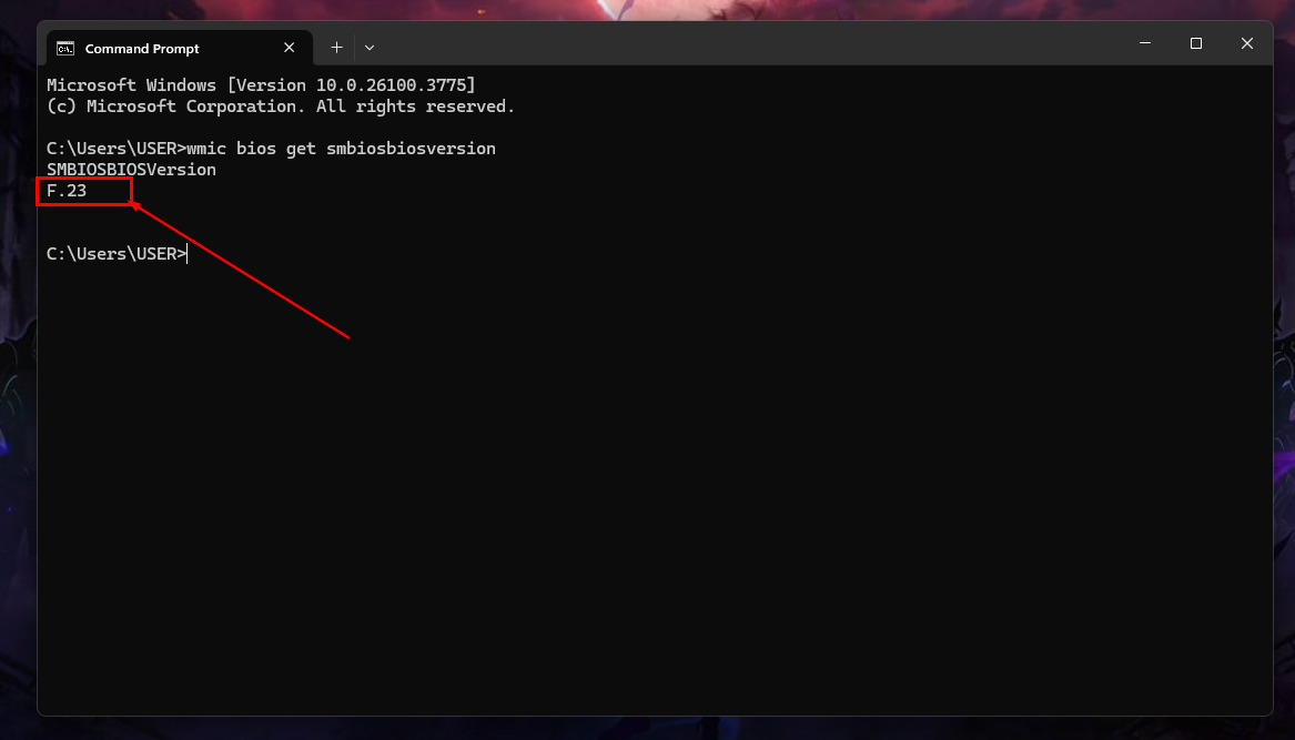 How to Check BIOS Version in Windows 11